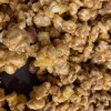 Frederickson's Fine Candies | Twin Falls, ID